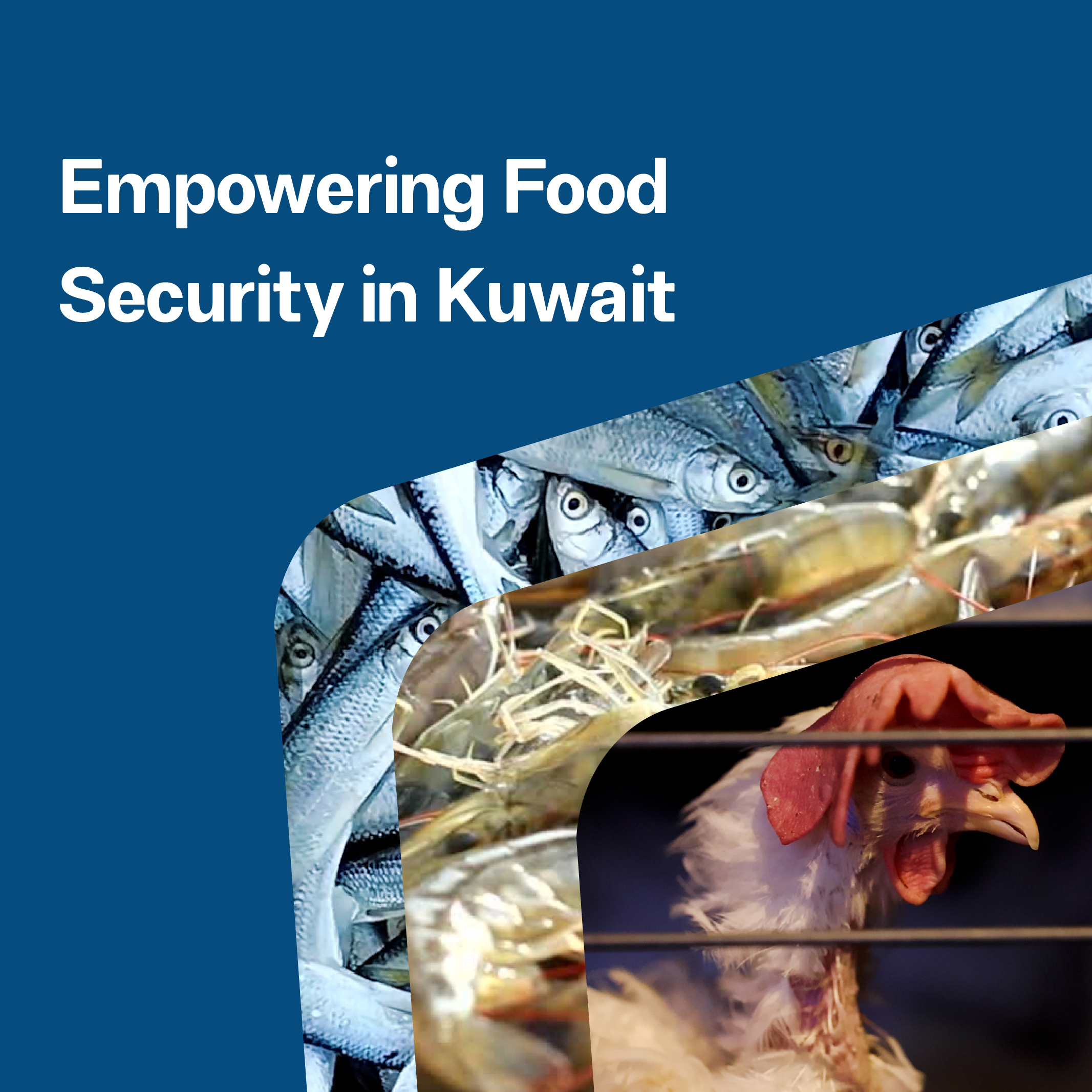 Empowering Food Security in Kuwait | Kuwait Direct Investment Promotion ...